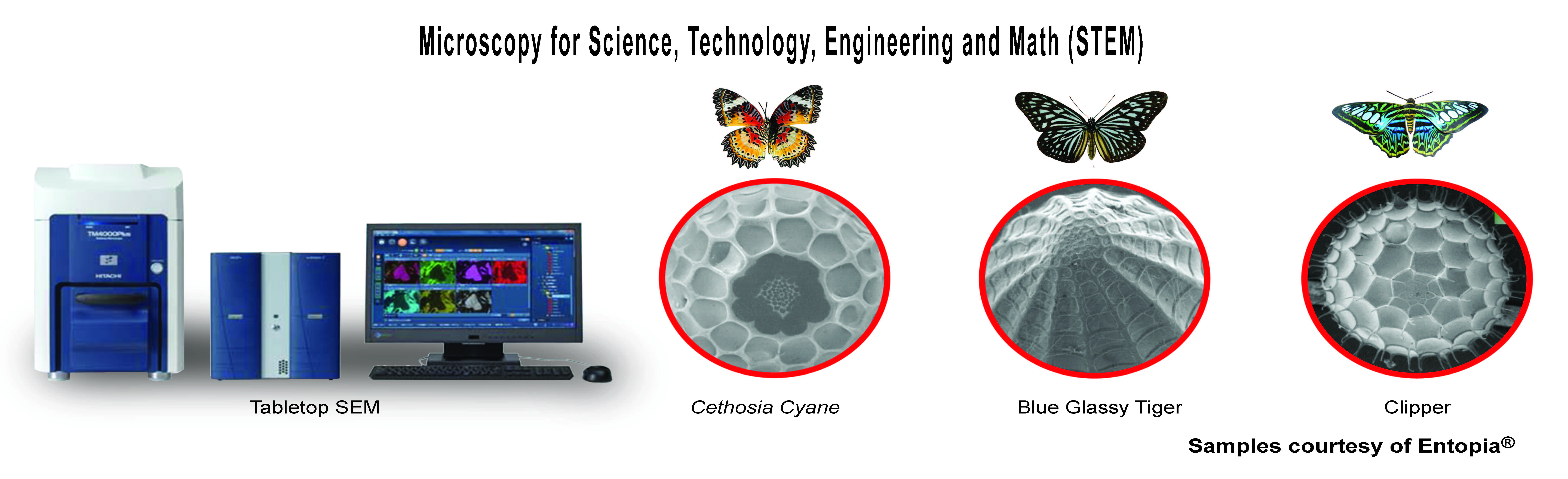 Hi-Tech Instruments (HTI)