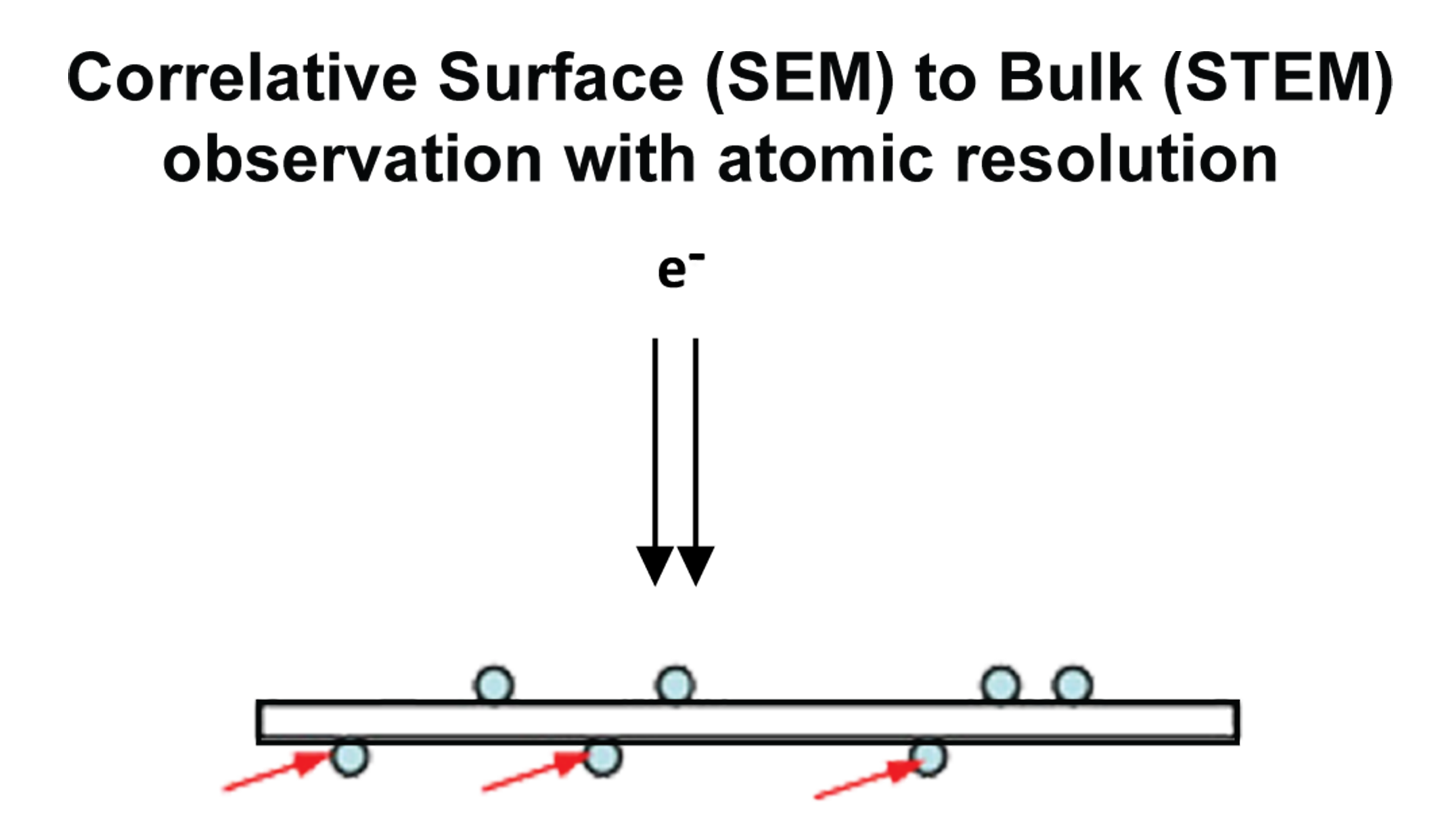 200kV ABERRATION-CORRECTED TEM/STEM /SEM