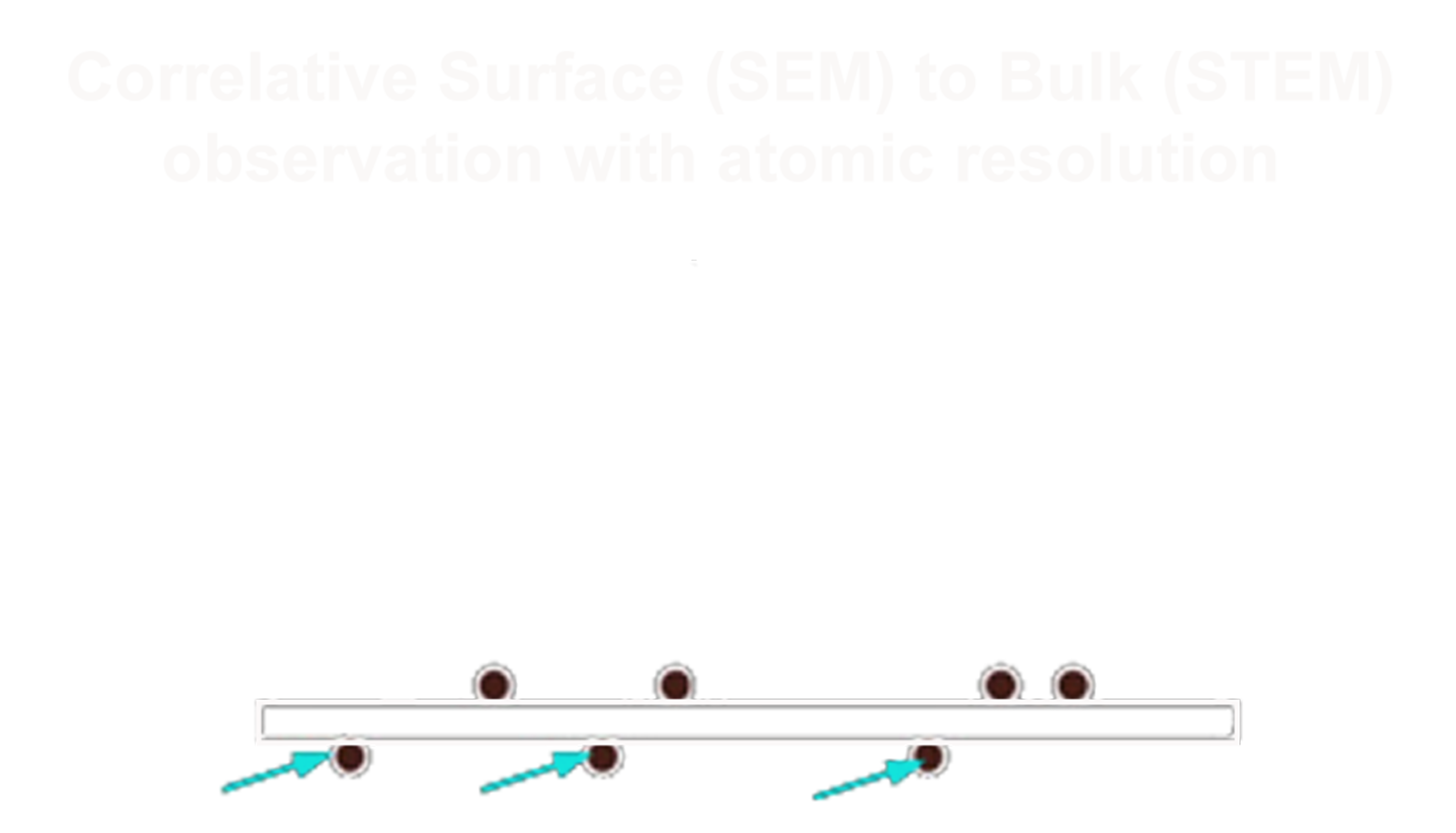 200kV ABERRATION-CORRECTED TEM/STEM /SEM