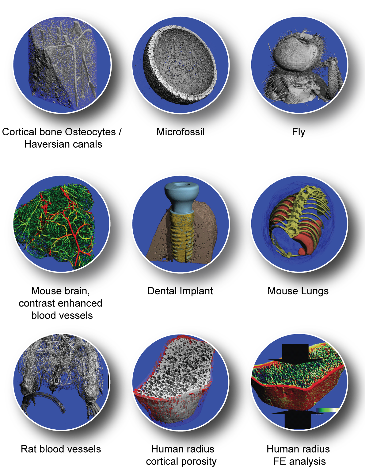 Scanco μCT 45/50/100 X-ray Micro Tomography