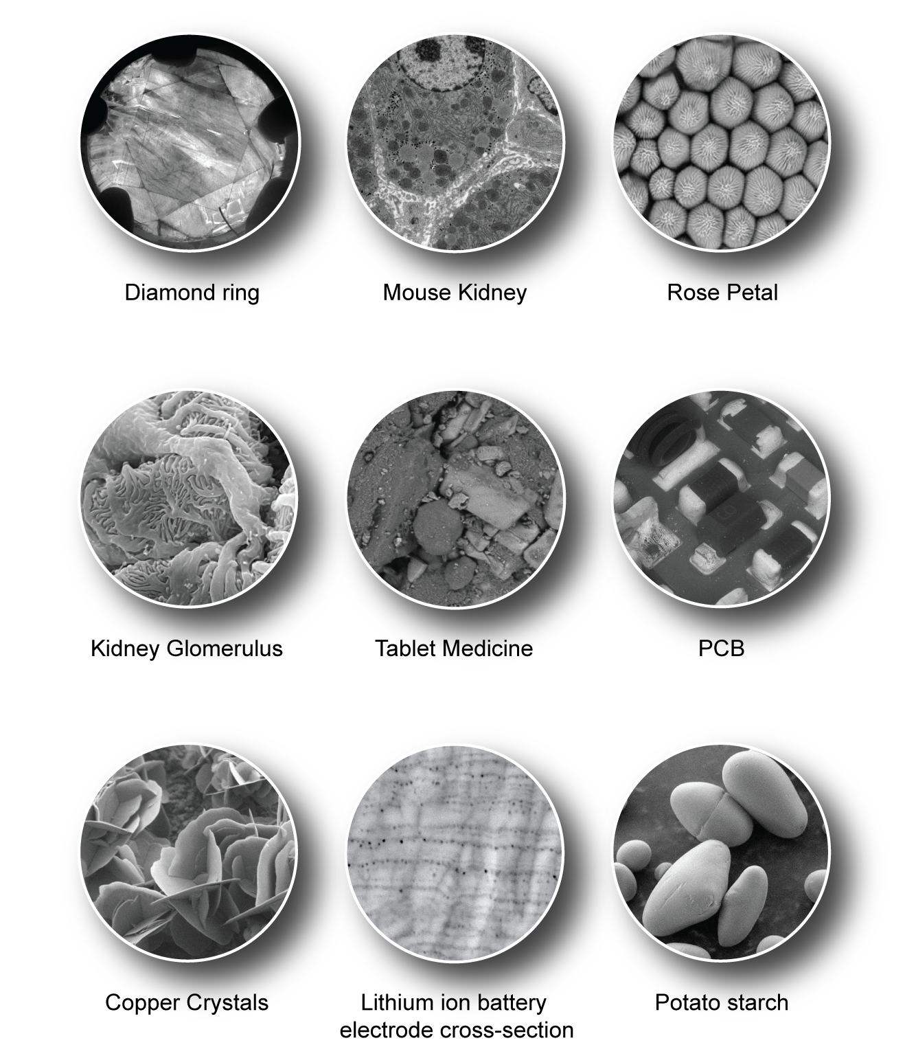 Hitachi TM4000 Plus II TT-SEM