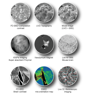 Hitachi SU3800/SU3900 VP-SEM